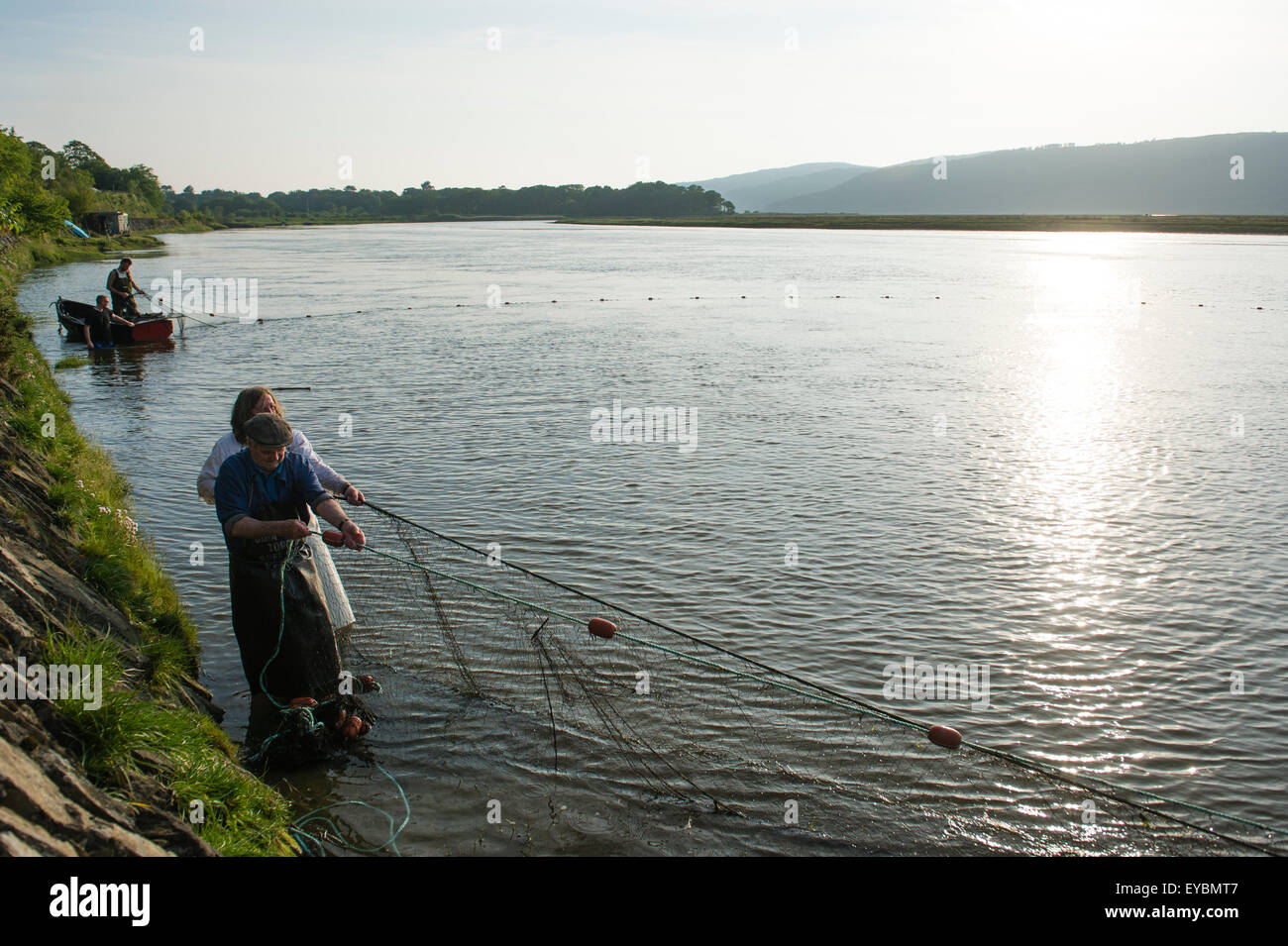 Seine netters on the Dyfi: Licensed fishermen using traditional 'seine ...