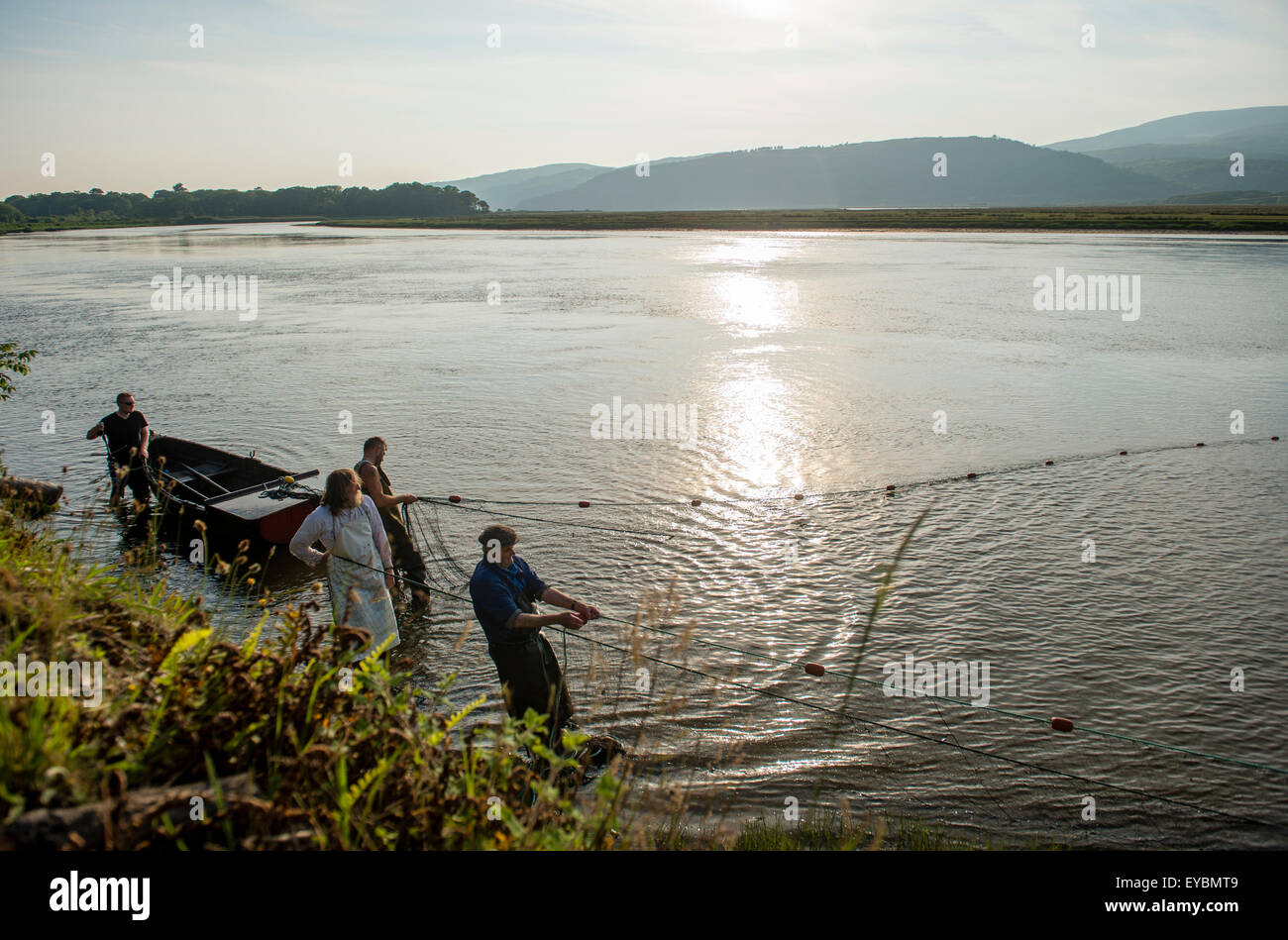 Seine netters on the Dyfi: Licensed fishermen using traditional 'seine ...