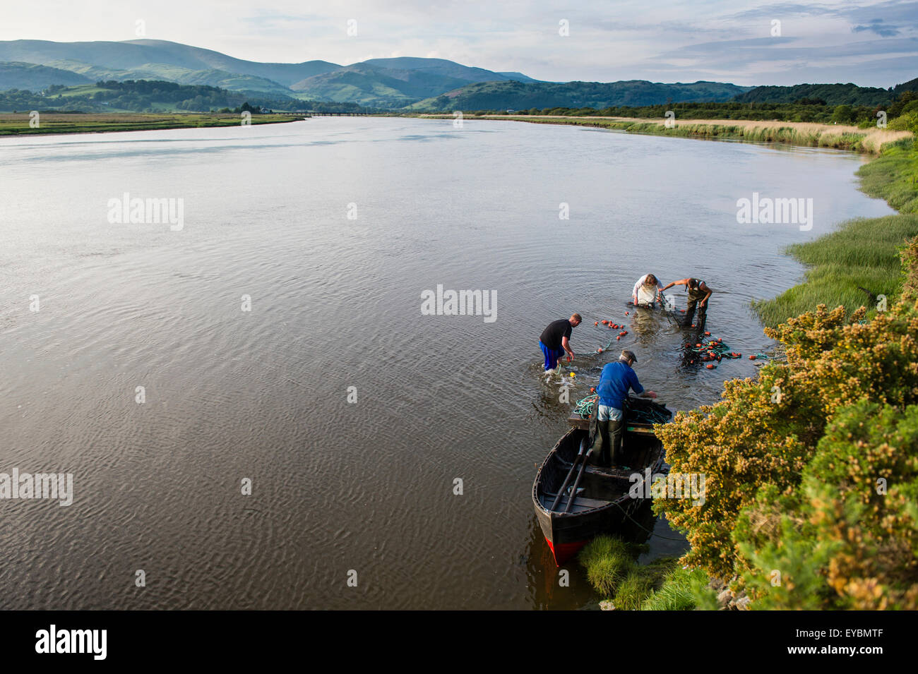 Seine netters on the Dyfi: Licensed fishermen using traditional 'seine ...