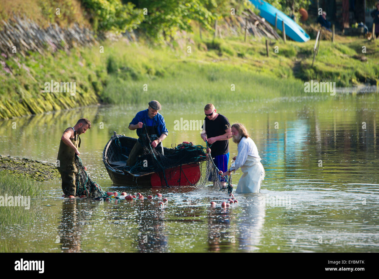 Seine netters on the Dyfi: Licensed fishermen using traditional 'seine ...