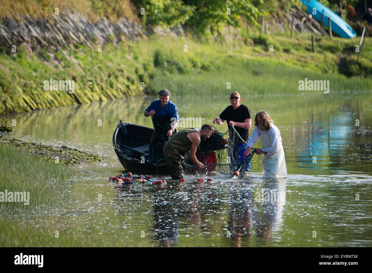 Seine netters on the Dyfi: Licensed fishermen using traditional 'seine ...