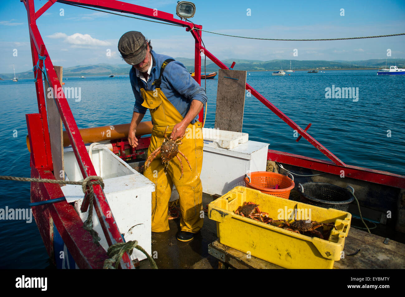 Inshore fishing on Cardigan Bay at Aberdyfi / Aberdovey: a fisherman ...