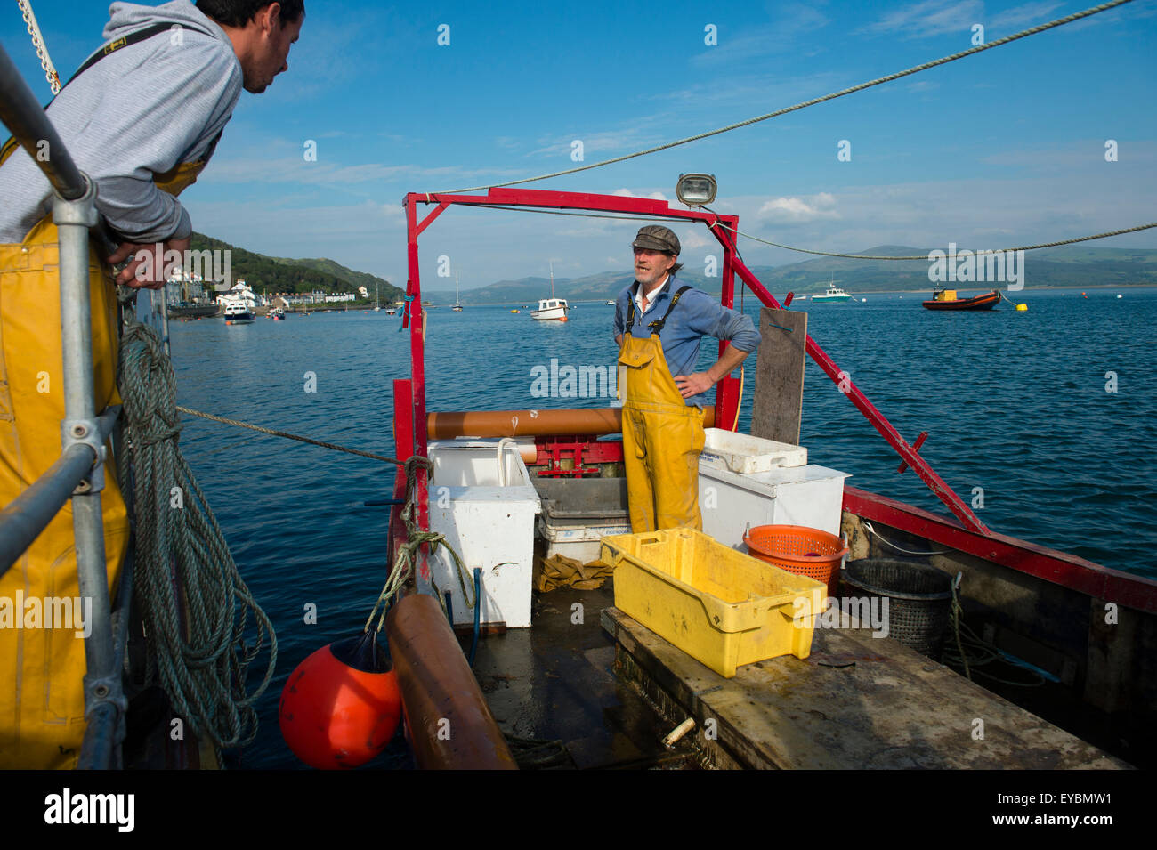 Inshore fishing on Cardigan Bay at Aberdyfi / Aberdovey: a fisherman ...