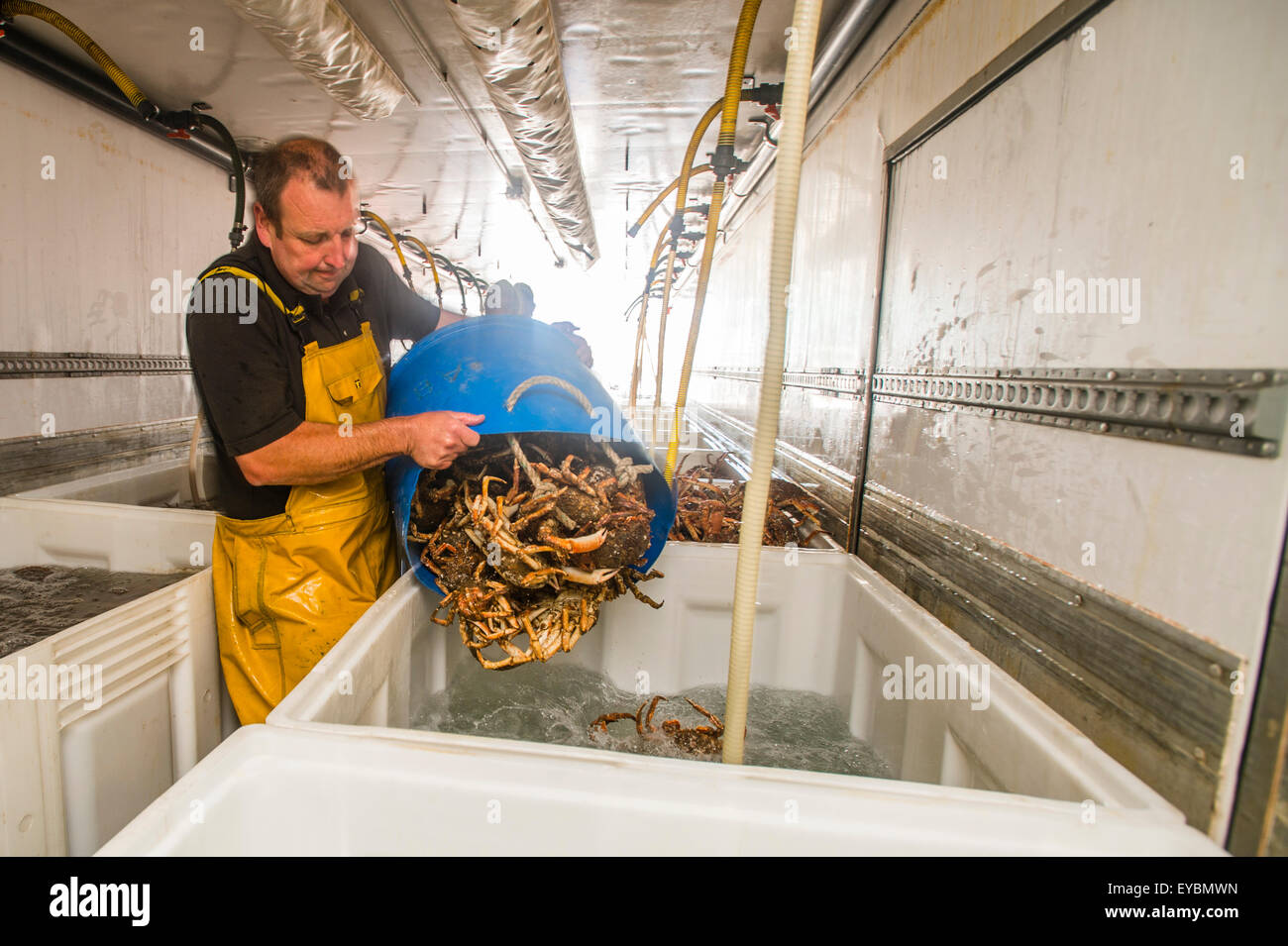Inshore fishing aberystwyth man loading hi-res stock photography and ...