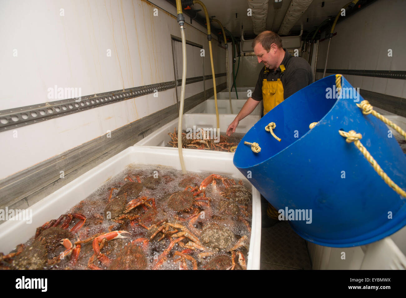 Loading fish lorry hi-res stock photography and images - Alamy