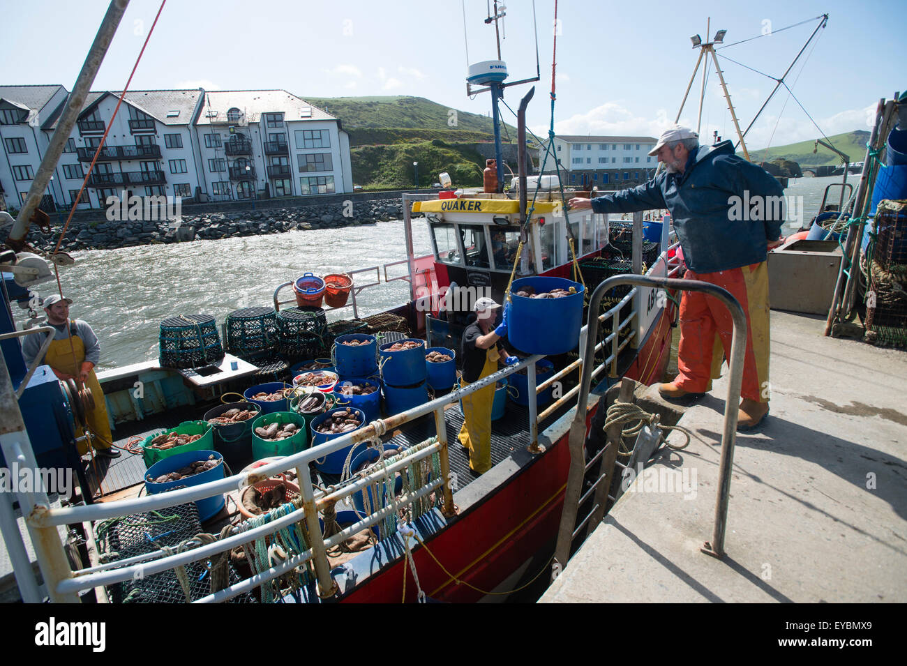 Inshore fishing in Cardigan Bay : Fishermen sorting out the week's ...