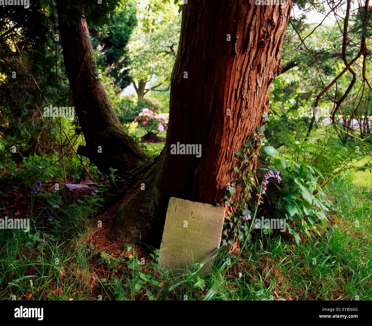 Drenagh hi-res stock photography and images - Alamy