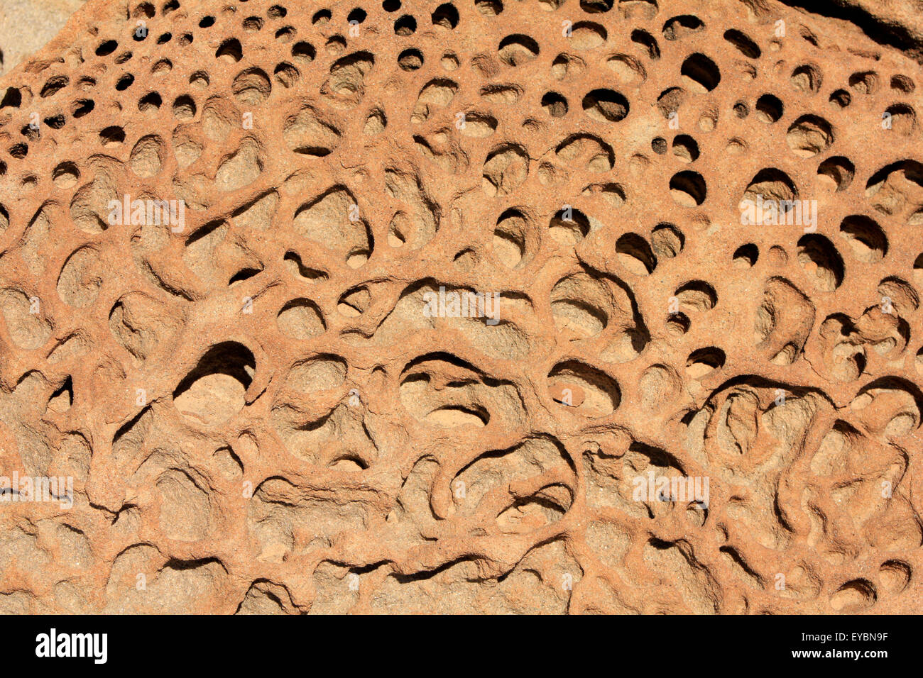 Closeup view of 'cheese holes' volcanic rock formations/ shapes at ...