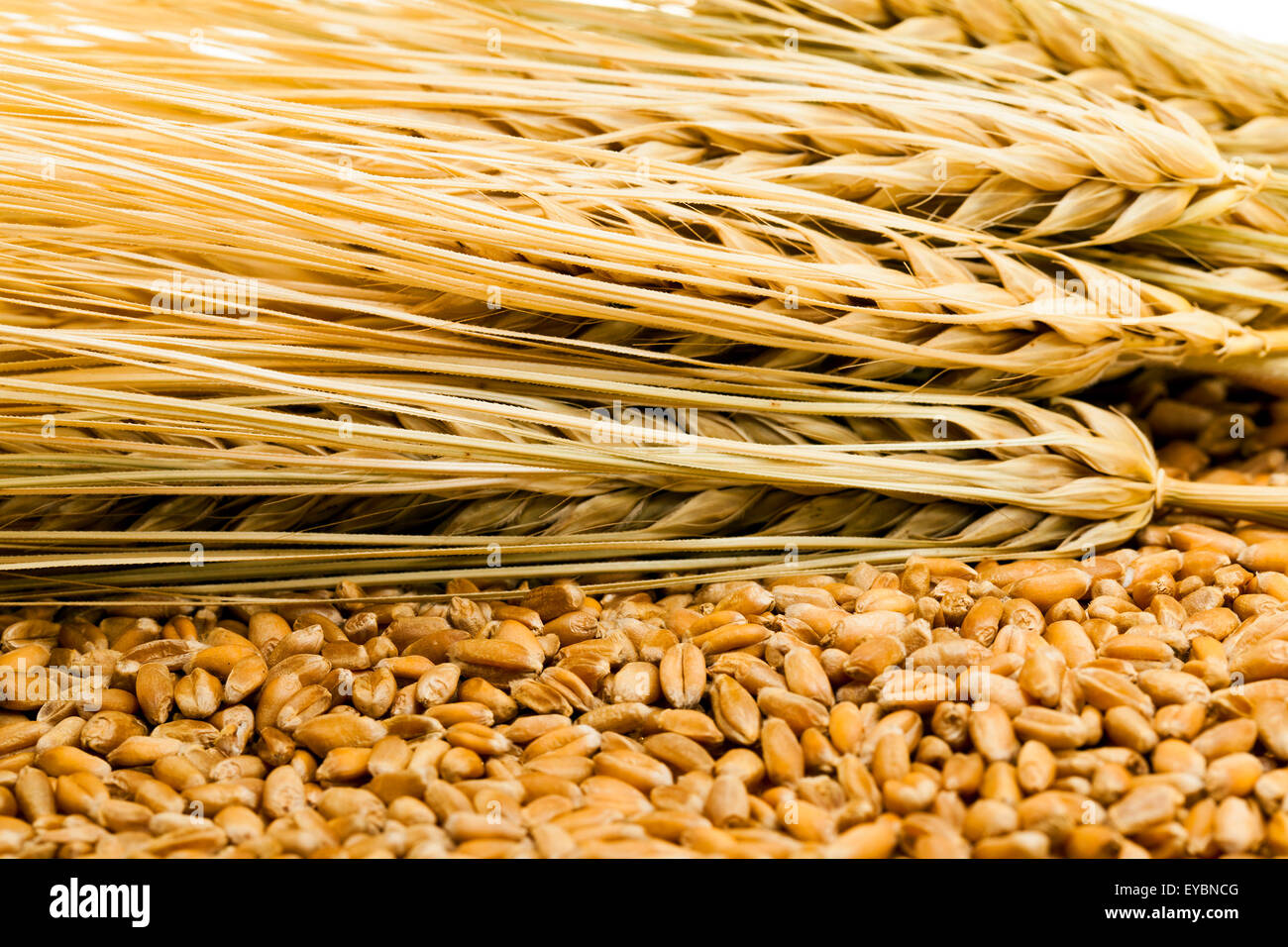 Heap wheat husk hi-res stock photography and images - Alamy