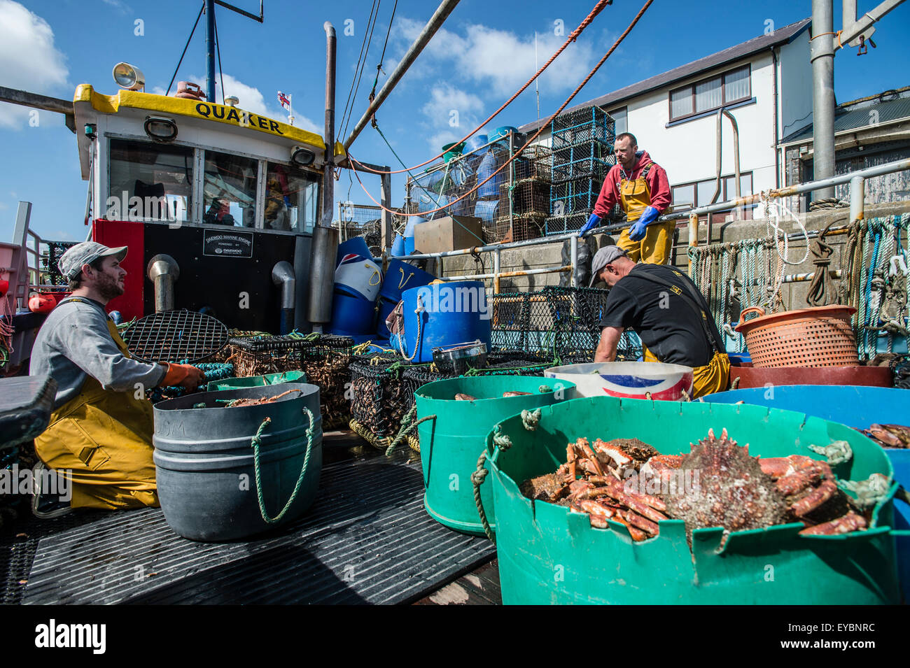 Inshore fishing in Cardigan Bay : Fishermen sorting out the week's ...