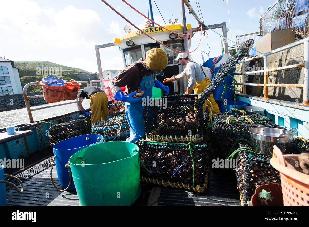 Inshore fishing in Cardigan Bay : Fishermen sorting out the week's ...