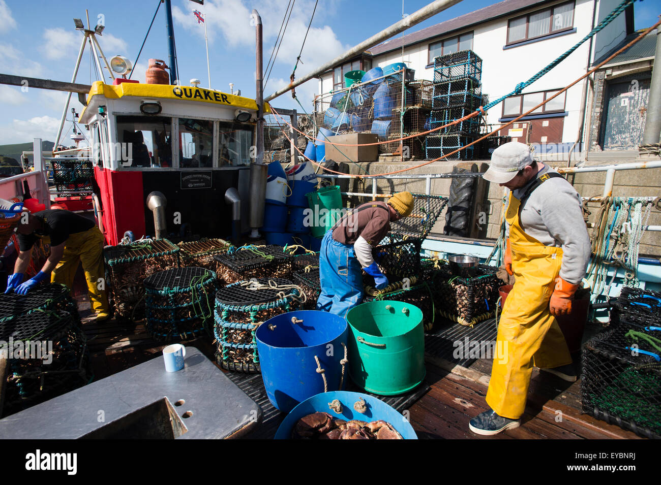 Inshore fishing in Cardigan Bay : Fishermen sorting out the week's ...