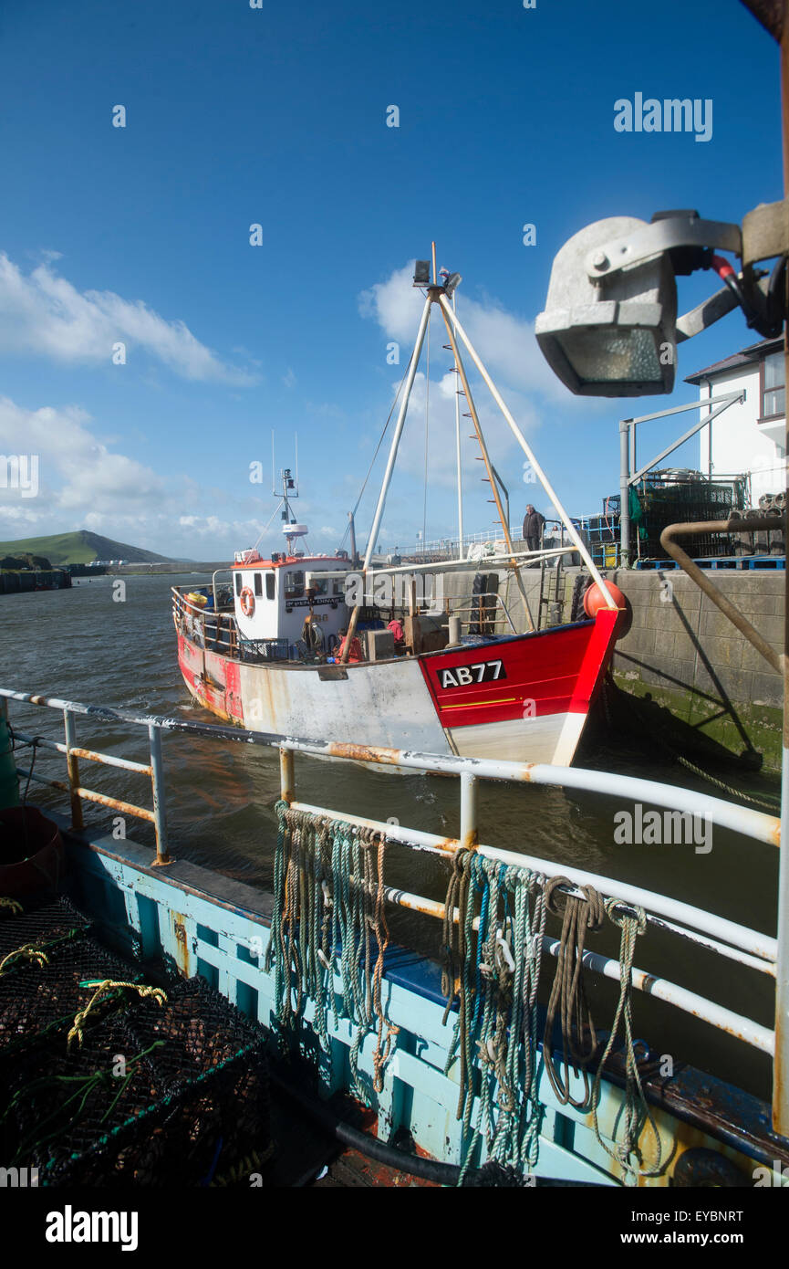 Inshore fishing in Cardigan Bay : a small lobster and crab fishing boat ...