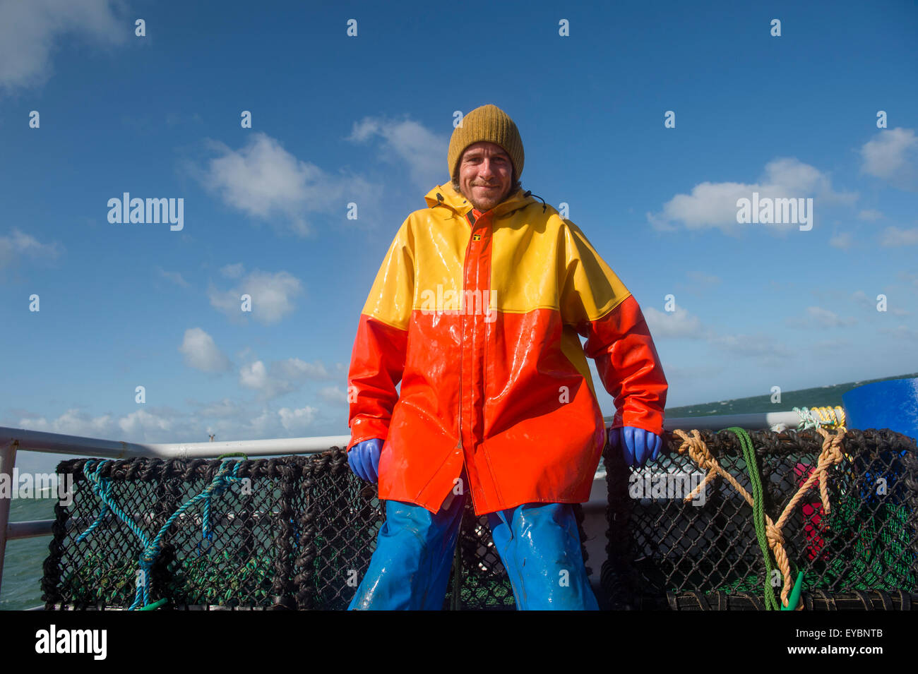 Inshore fishing in Cardigan Bay : A crew member of a small lobster and ...