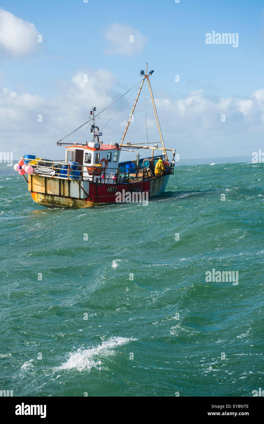 Inshore fishing in Cardigan Bay : a small lobster and crab fishing boat ...