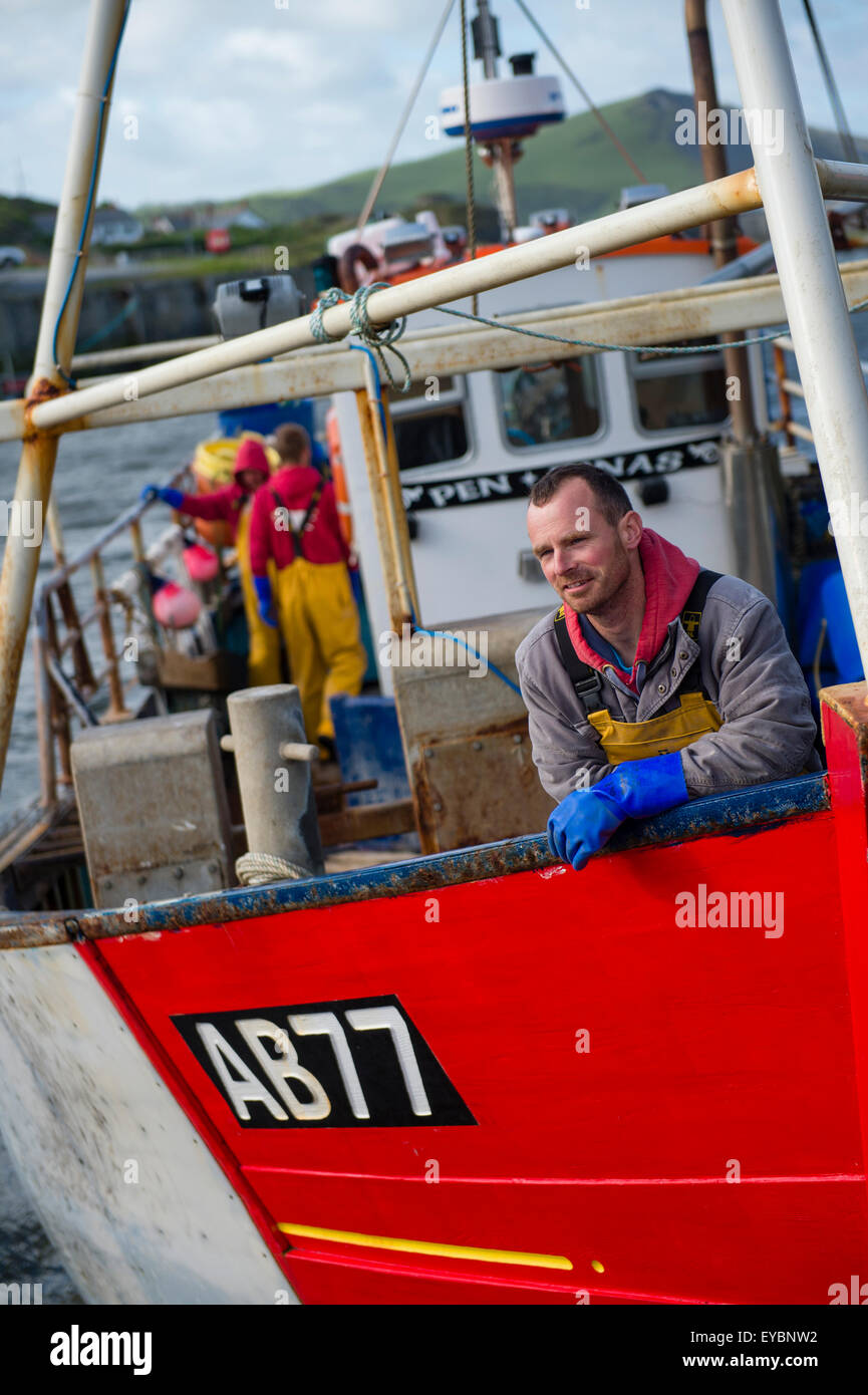 Inshore fishing in Cardigan Bay : A fisherman on a small lobster and ...