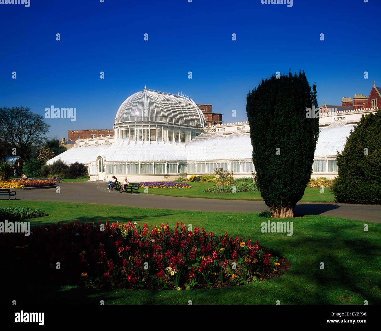 Palm House, Belfast Botanic Gardens, Belfast, Co Antrim, Ireland; 19Th ...