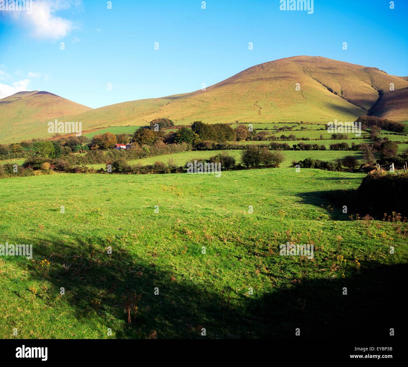 Galtee Mountains, Co Tipperary, Ireland; Mountains Near Anglesborough ...