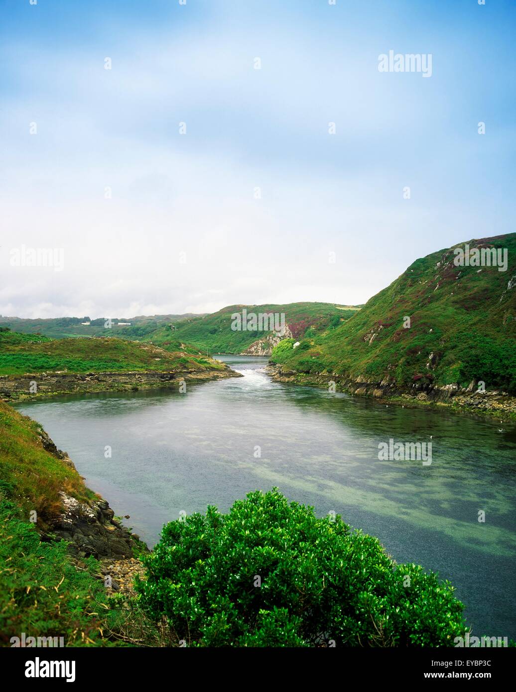 Co Cork, Ireland; Lake Near Skibbereen Stock Photo - Alamy