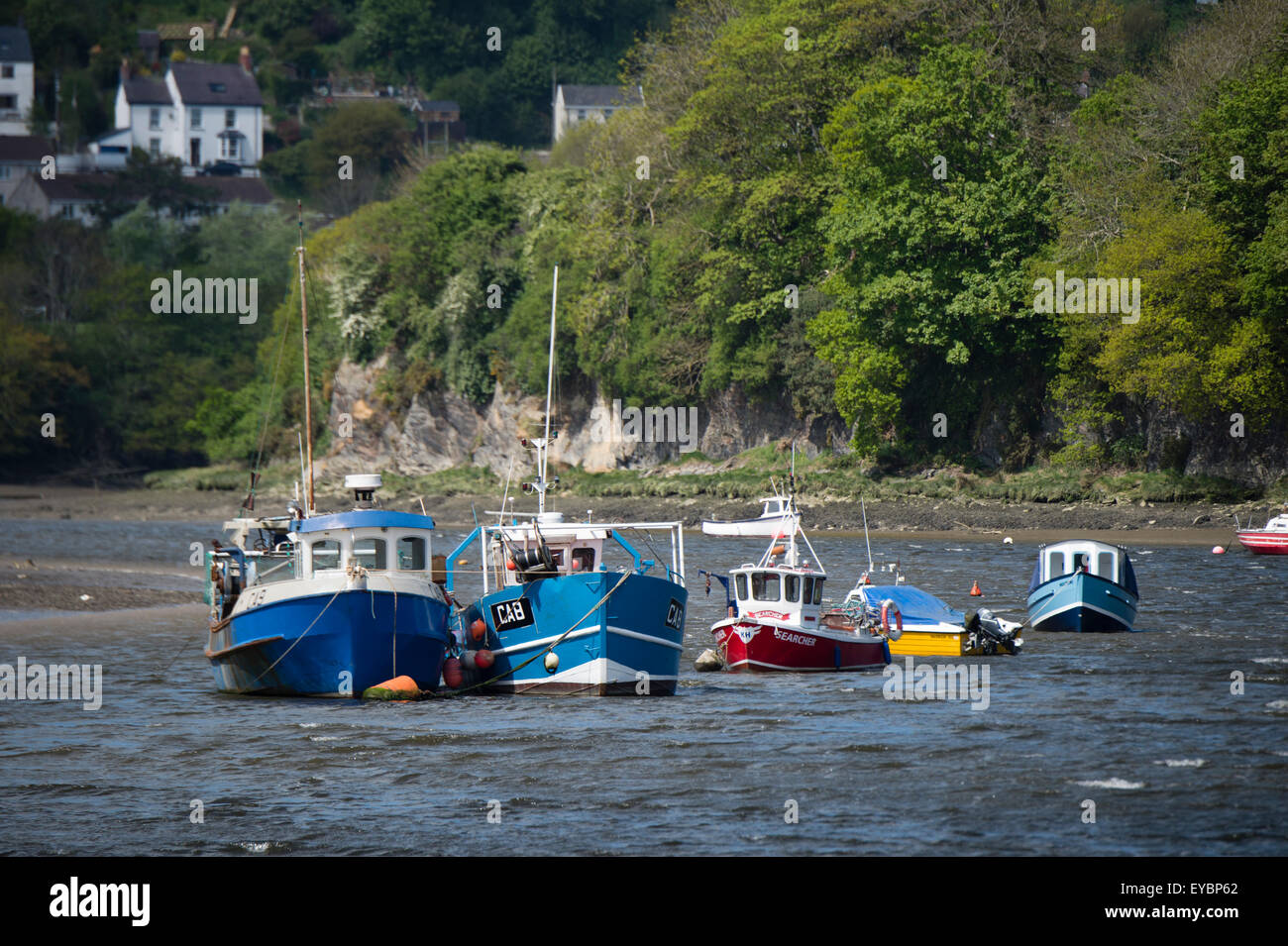 Inshore Fishing Boats moored at anchor on the river Teifi, Cardigan ...