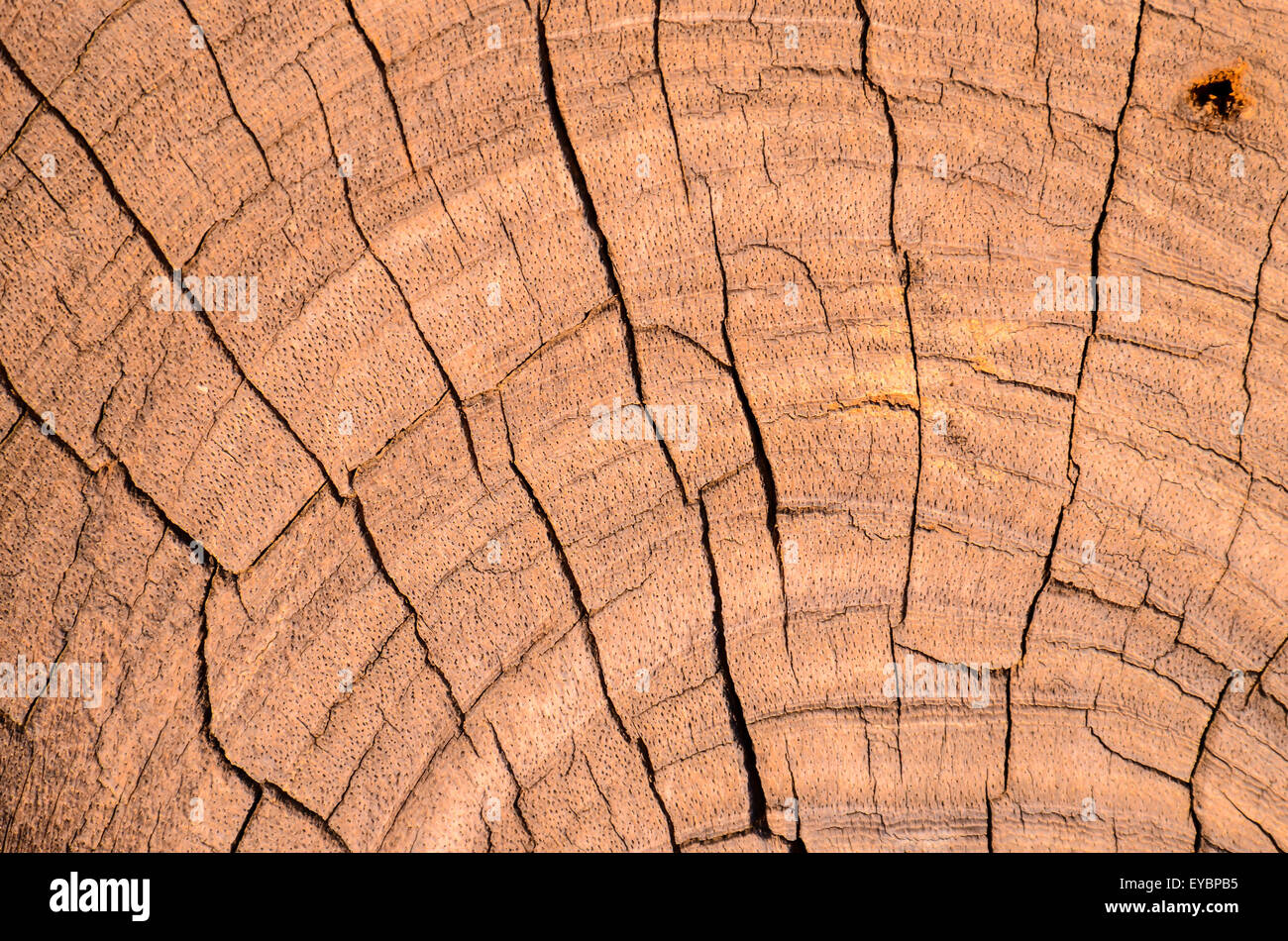 Wood Surface Texture Stock Photo - Alamy