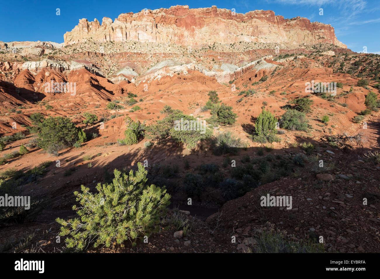 Capitol Reef National Park, Utah Stock Photo - Alamy