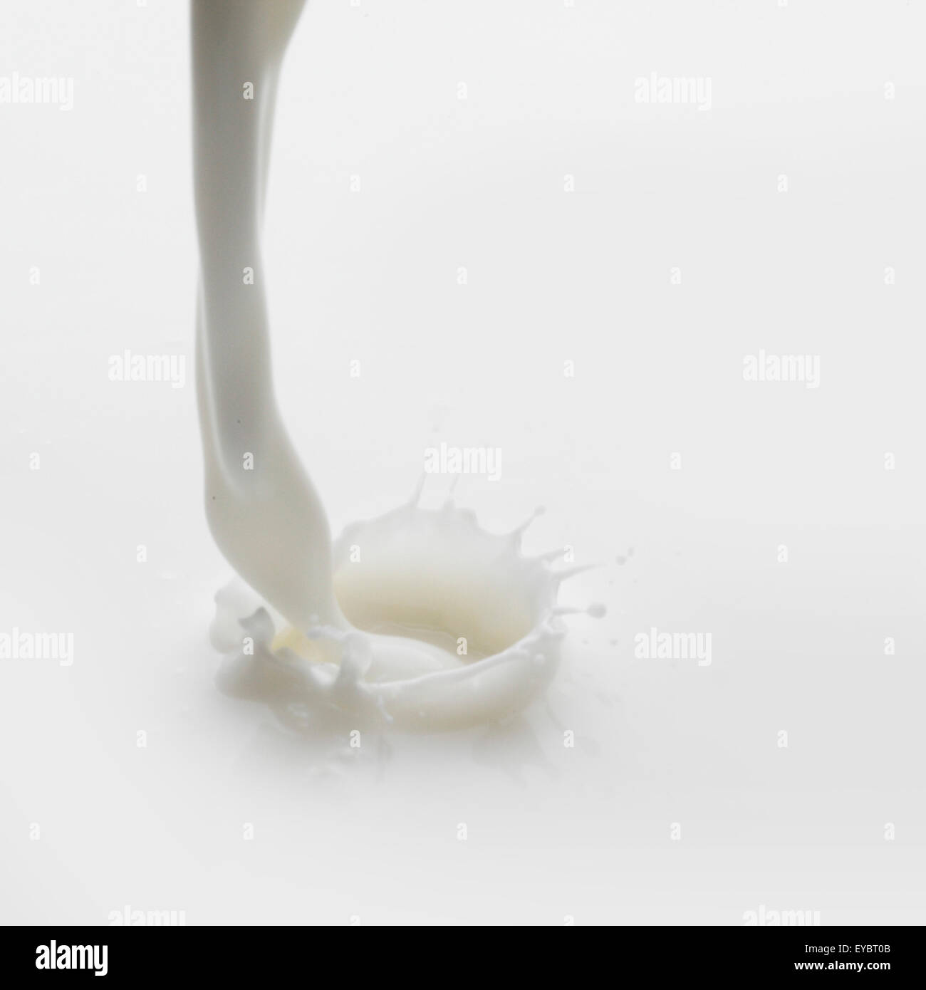 Pouring milk splash Stock Photo - Alamy