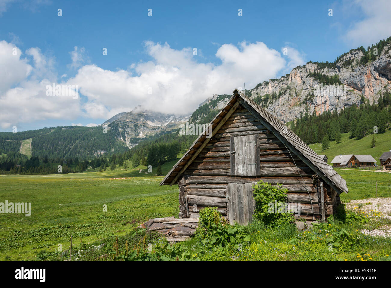 Alpine cabin, Wurzeralm, Austria Stock Photo - Alamy