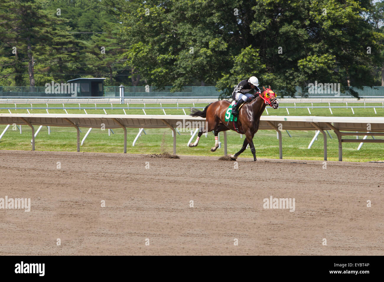 A day at the races Stock Photo - Alamy
