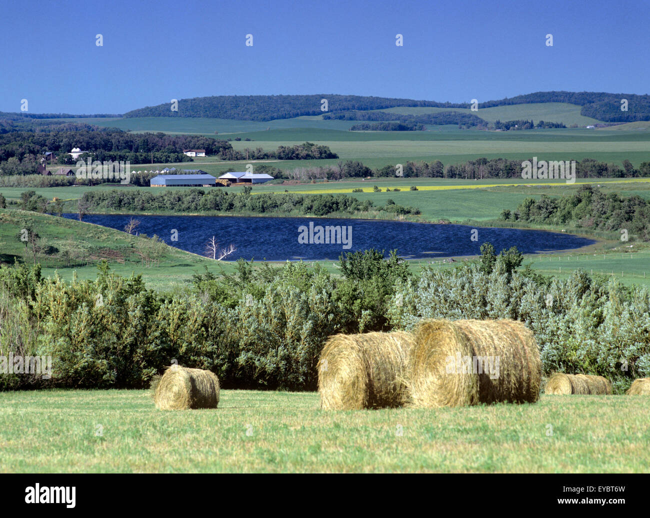 Manitoba canada farm hi-res stock photography and images - Alamy