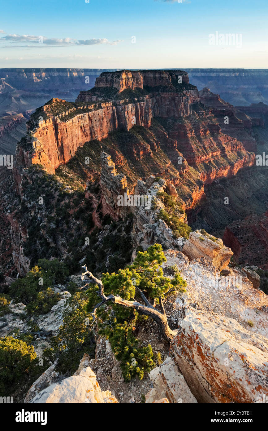 Grand Canyon National Park, North Rim, Arizona Stock Photo - Alamy
