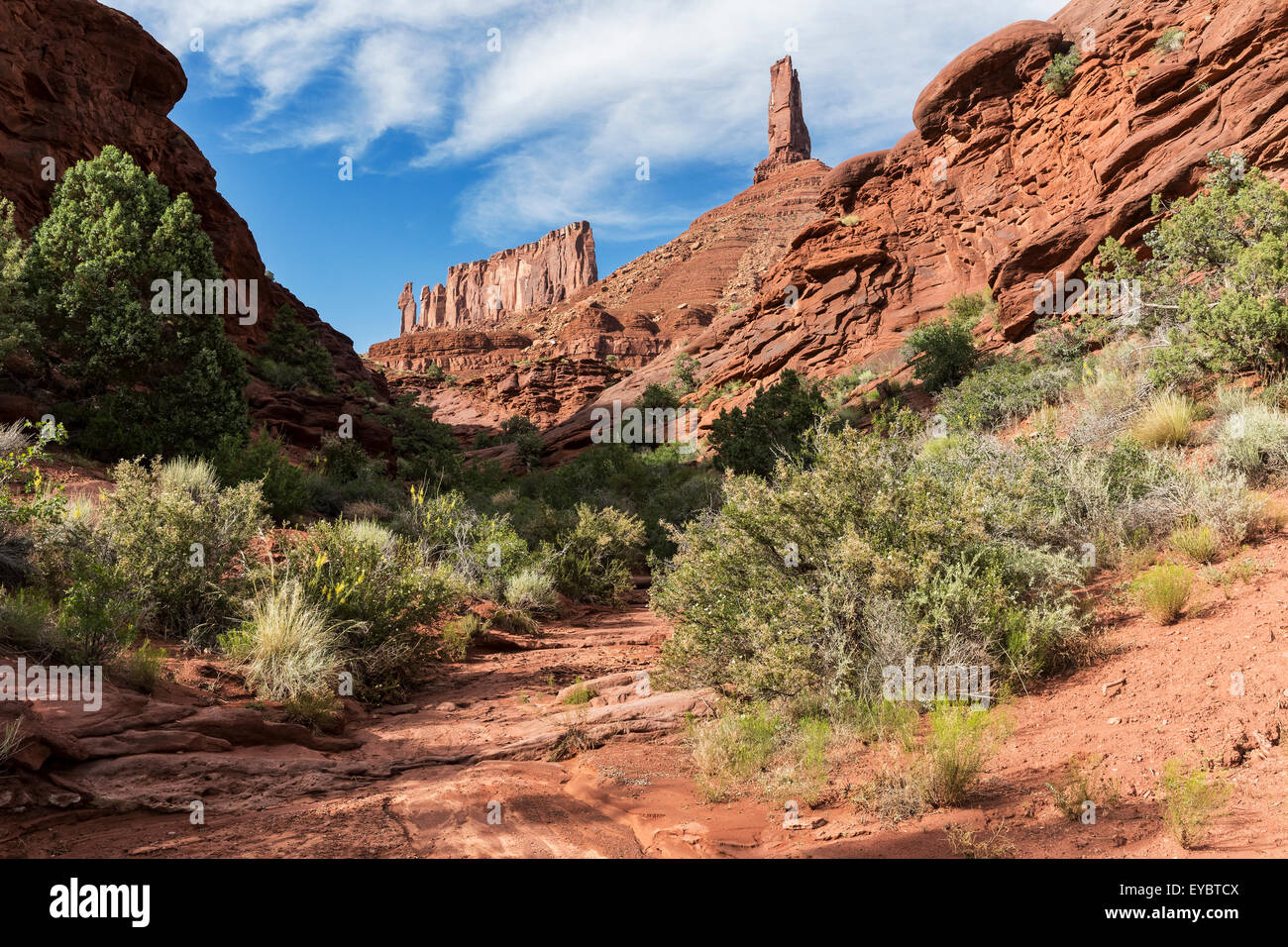 The priest and nuns hi-res stock photography and images - Alamy