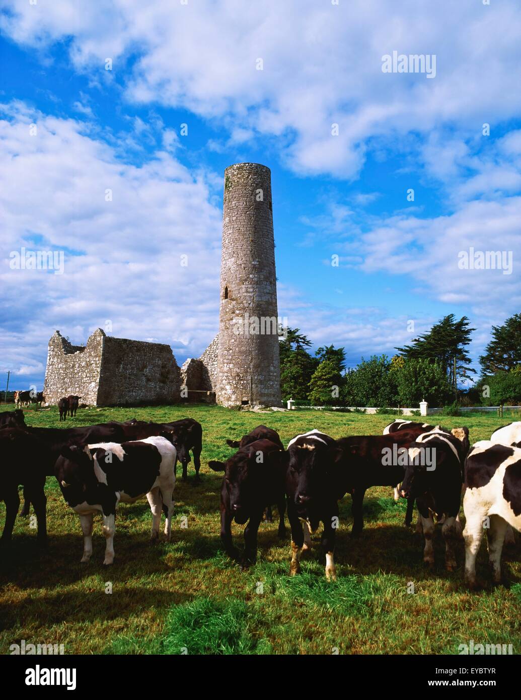 Croom co limerick ireland croom hi-res stock photography and images - Alamy