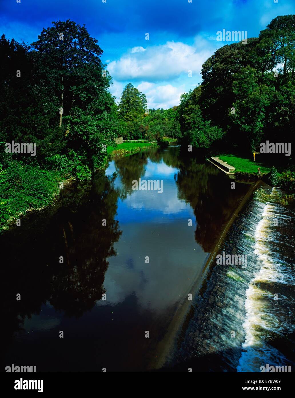 River Nore, Co Kilkenny, Ireland; River At Castlecomer Stock Photo - Alamy