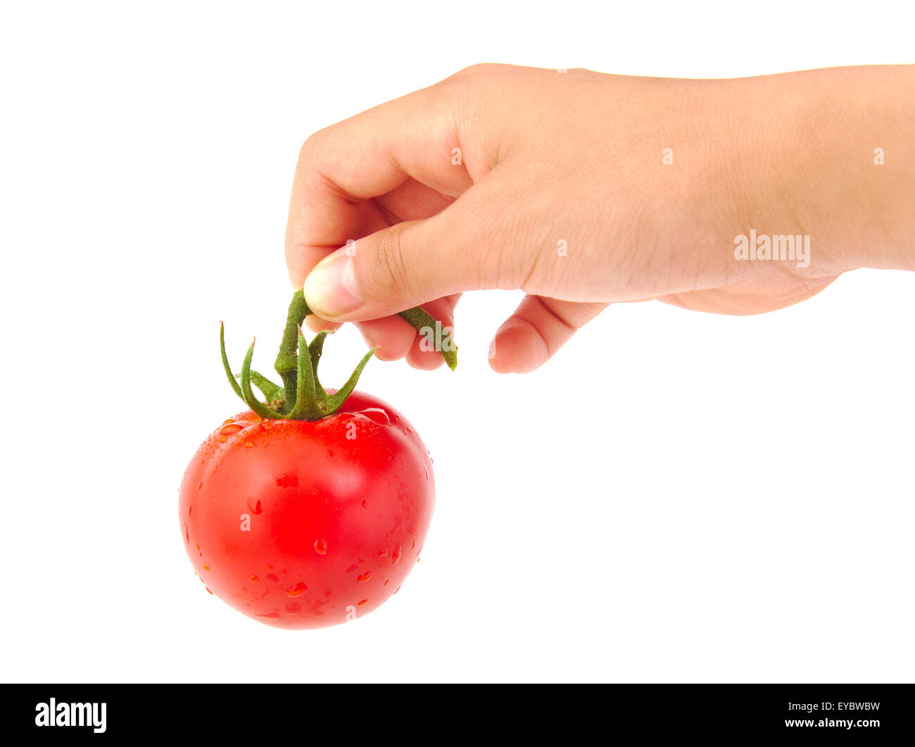 Whole tomato in the human hand isolated on white background Stock Photo ...