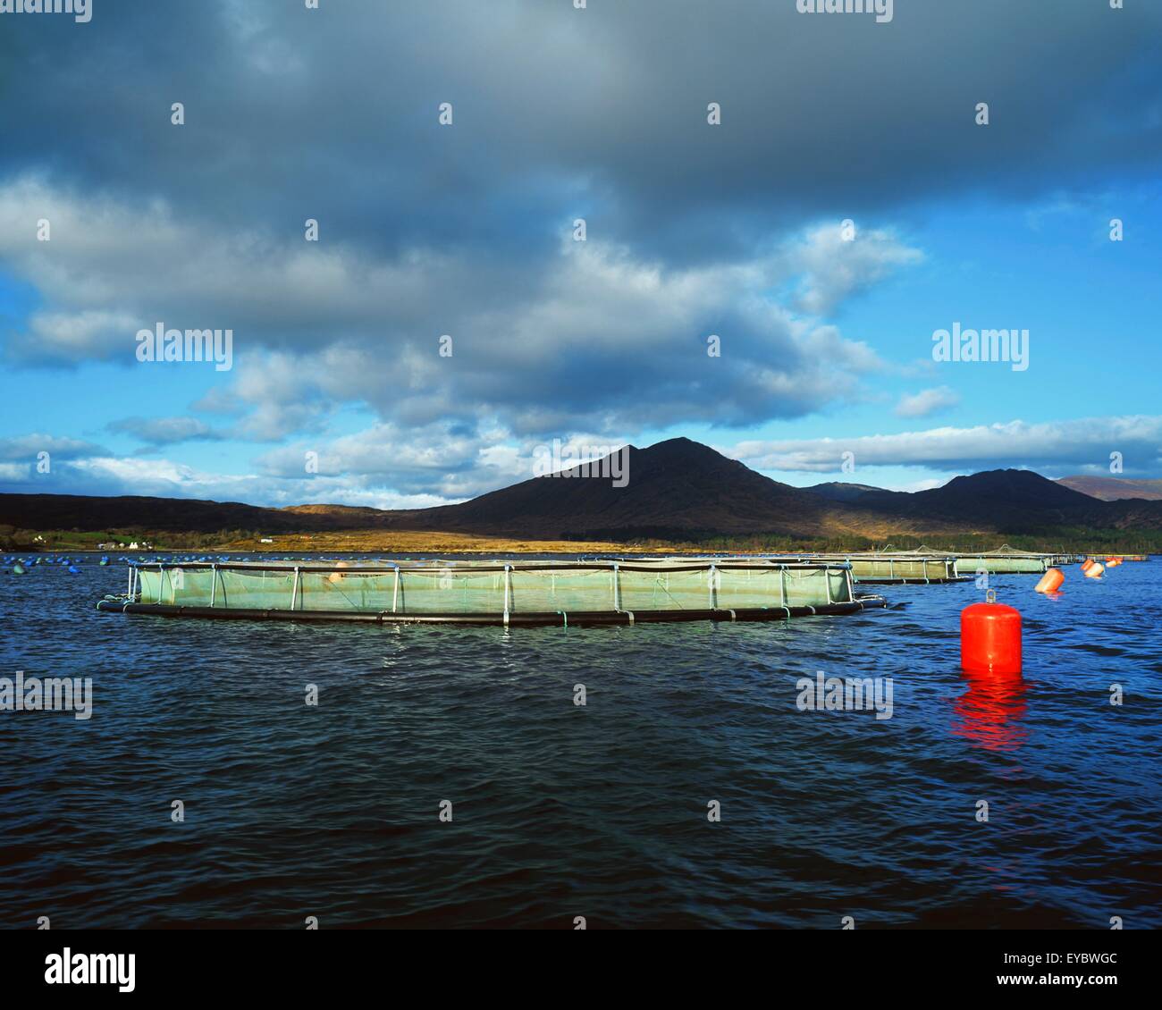Lauragh, Co Kerry, Ireland; Salmon Fish Farm Stock Photo - Alamy