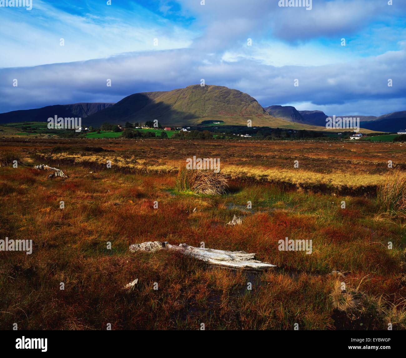 Trean, Lough Mask, Near Partry Mountains, Co Mayo, Ireland; Bog Near ...