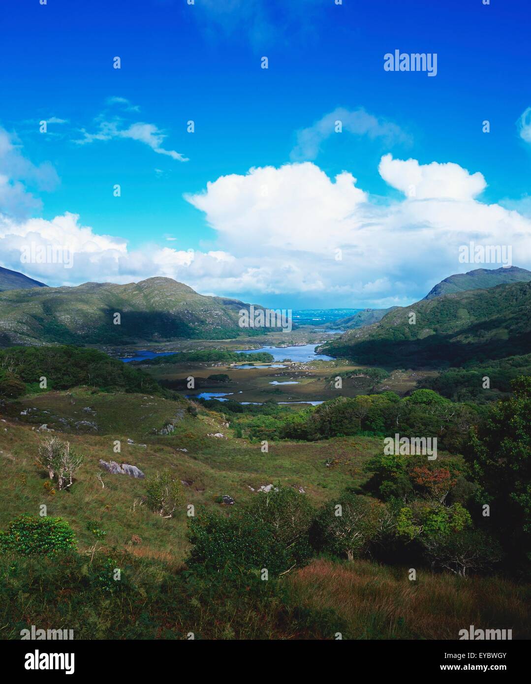 Ladies View, Killarney National Park, County Kerry, Ireland; Vista Of ...