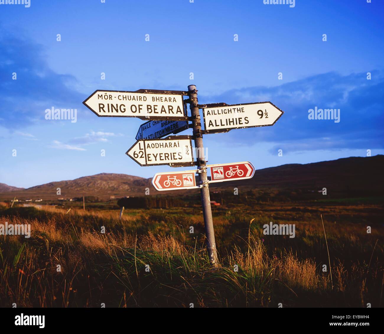Beara Peninsula, County Kerry, Ireland; Directional Roadside Sign Stock ...