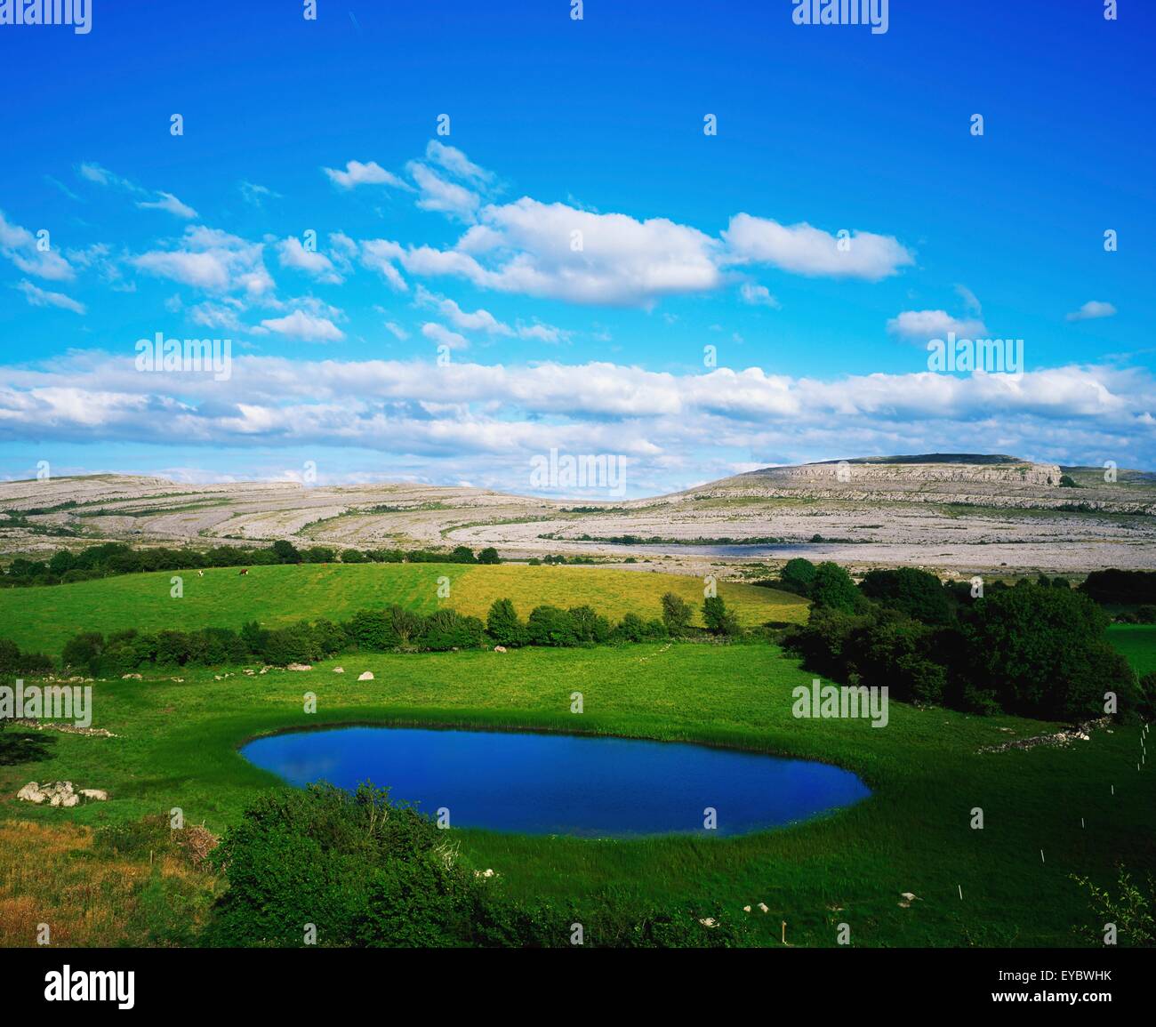 Mullaghmore, The Burren, County Clare, Ireland; Turlough In Karst ...