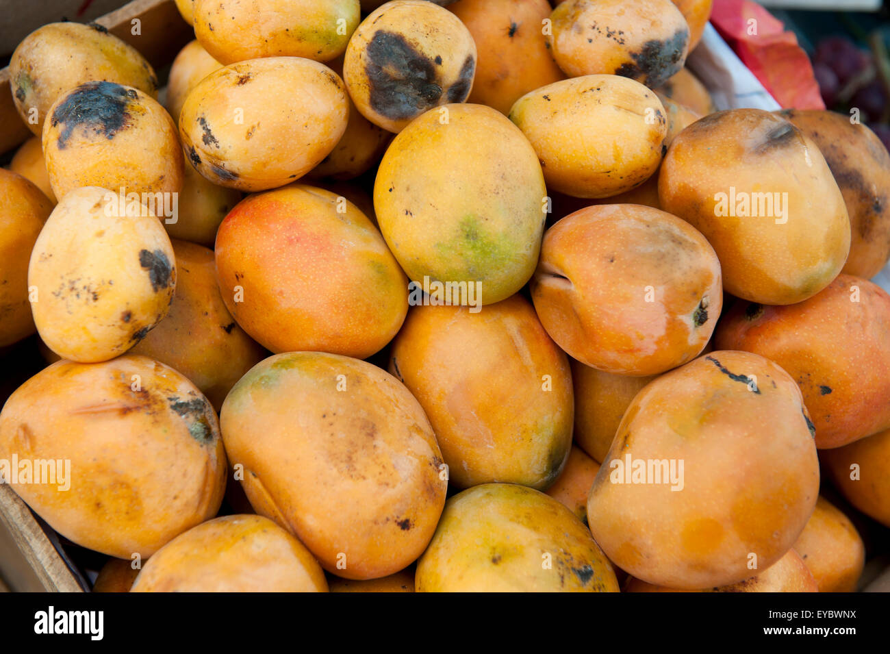 Ripe mangos at a farmers market on a sunny day Stock Photo - Alamy
