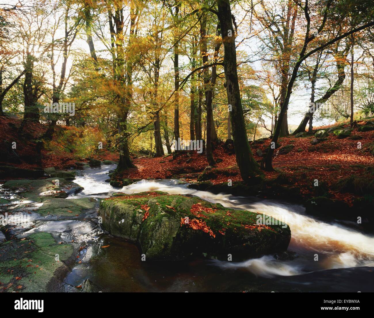 Sally creek hi-res stock photography and images - Alamy