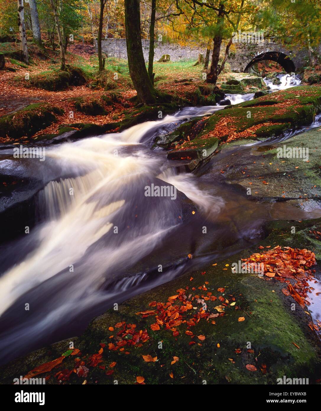 Sally creek hi-res stock photography and images - Alamy