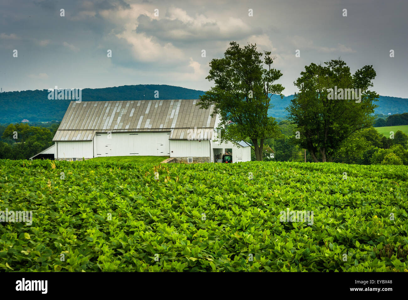Antietam national battlefield hi-res stock photography and images - Alamy