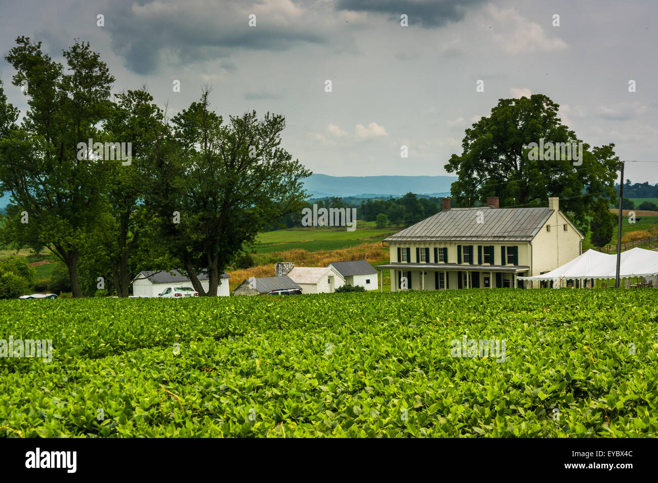 Historic house and farm fields at Antietam National Battlefield ...