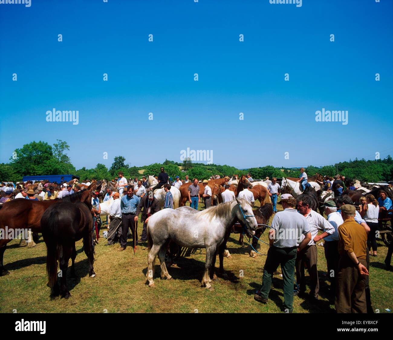 Horse spancil hill hi-res stock photography and images - Alamy