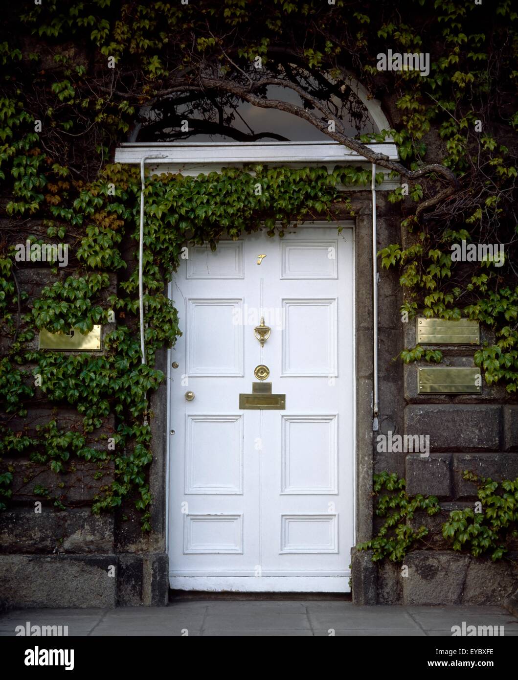 Merrion Square, Dublin, Co Dublin, Ireland; Georgian Door Stock Photo ...