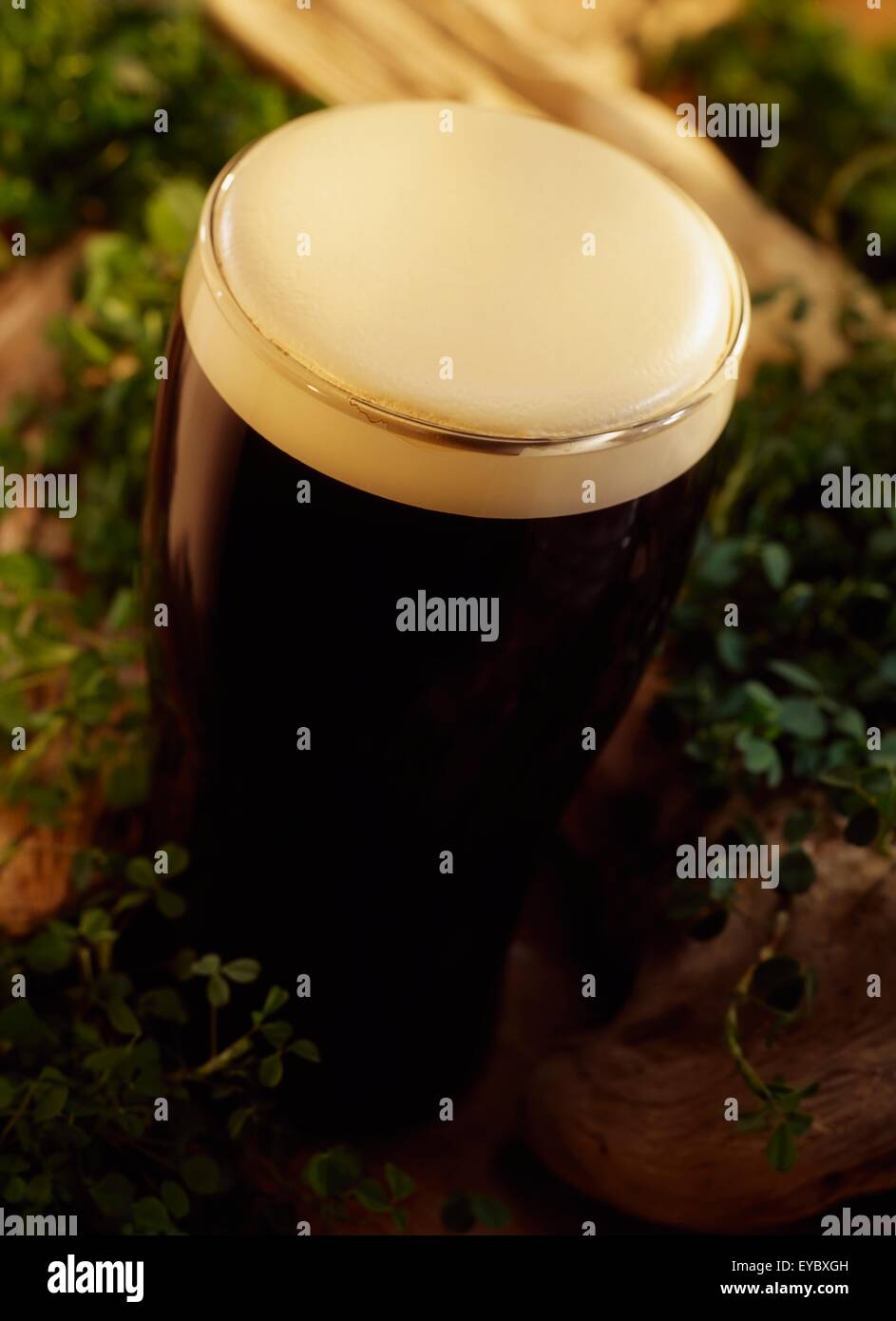 Pint Of Stout; Beer Surrounded By Shamrocks Stock Photo - Alamy