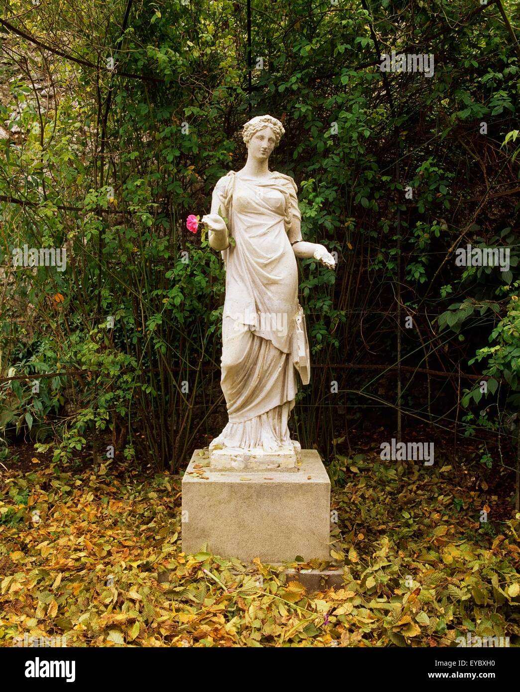 Birr co offaly hi-res stock photography and images - Alamy