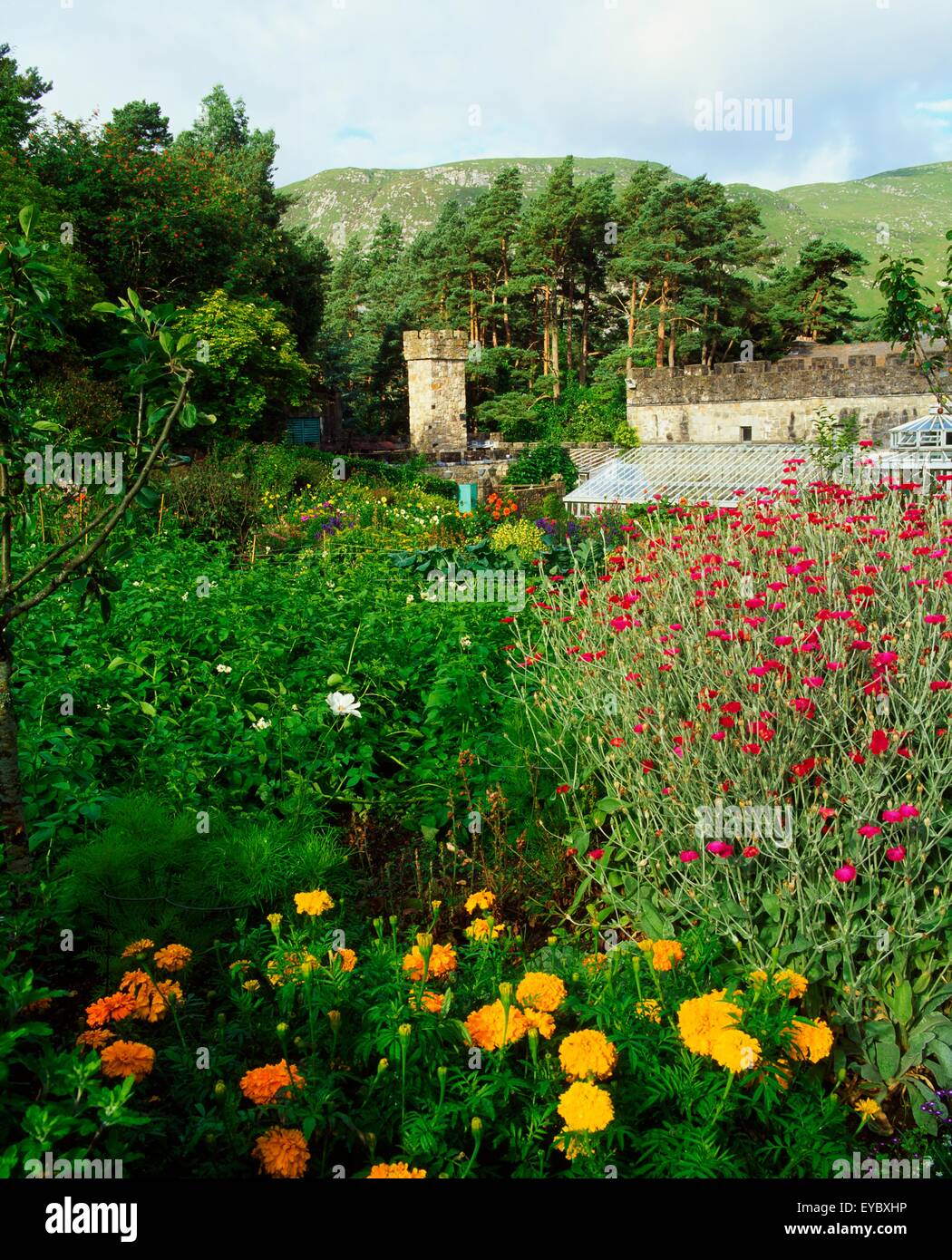 Glenveagh Castle, Co Donegal, Ireland; Walled Potager And Kitchen ...